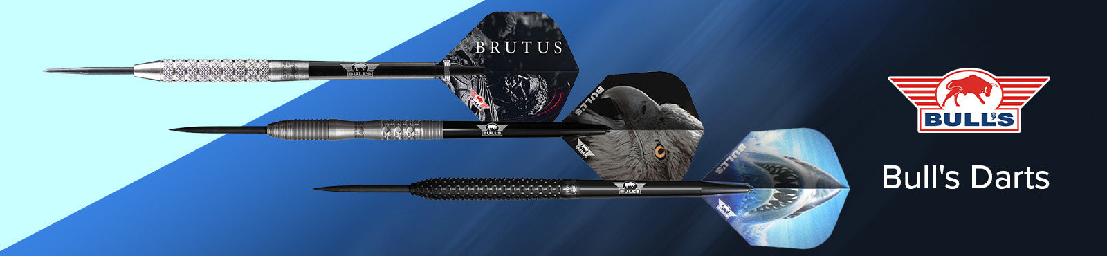 Bulls NL Darts – HiProDarts